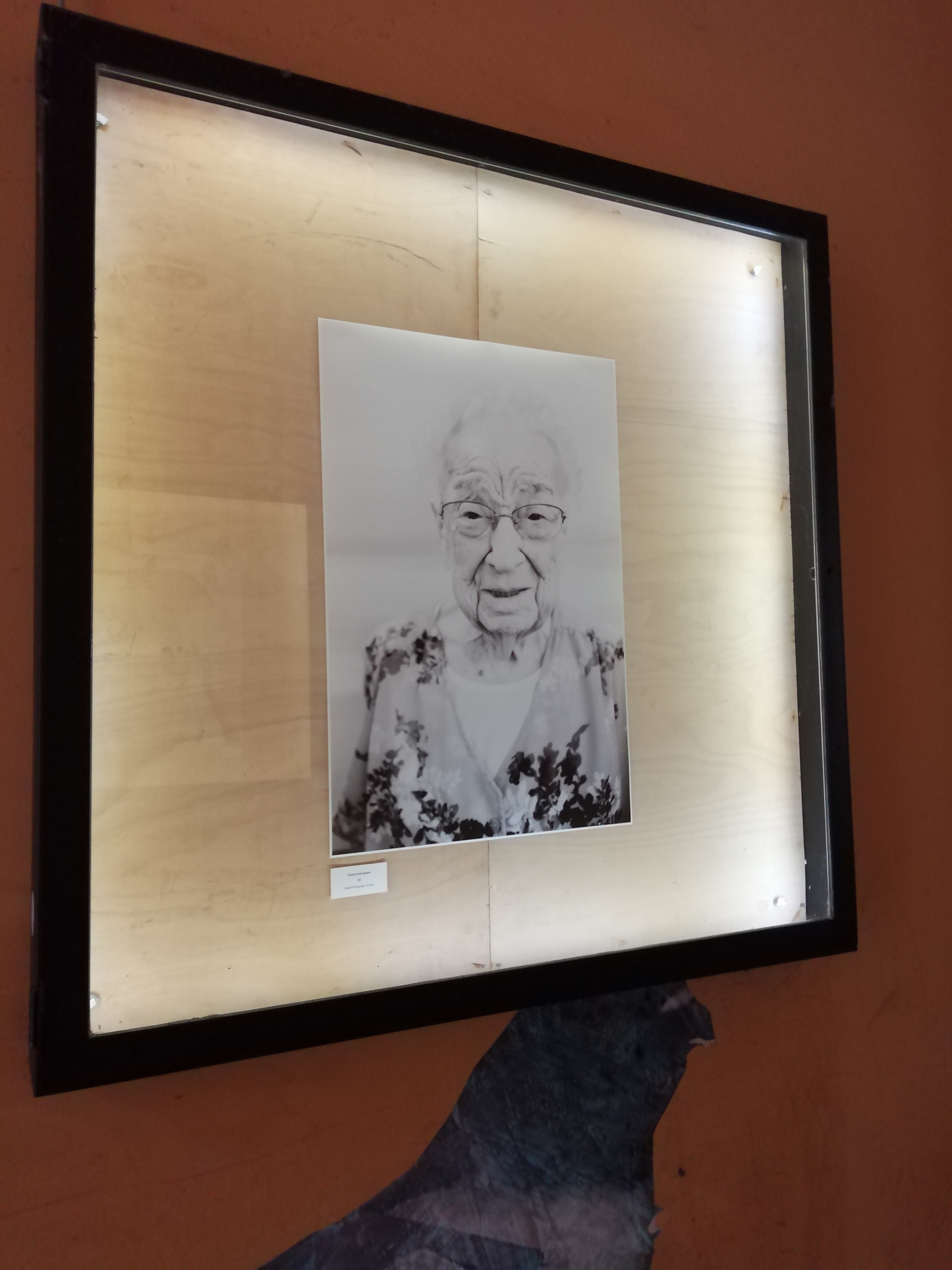 Tamara Parks-Hebert: Identitet – Šok zadruga